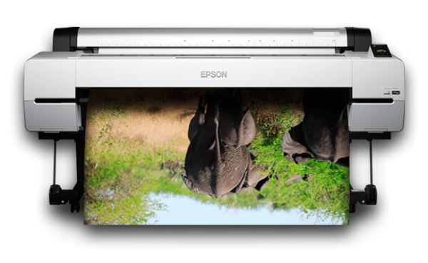 EPSON SureColor P20000 - PosterFrameFix